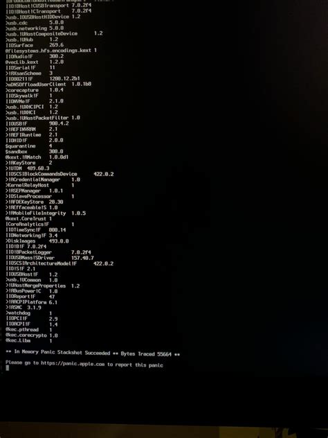 How To Fix Memory Panic Stackshot Succeeded OSx Catalina InsanelyMac