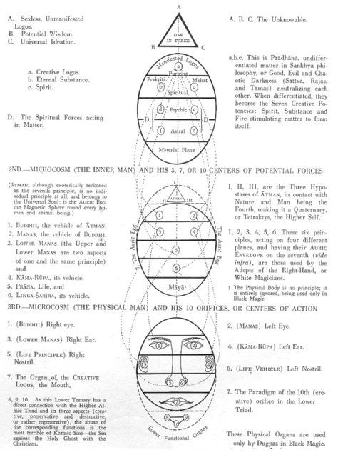 47 Theosophy Ideas Theosophy Spirituality Theosophical Society
