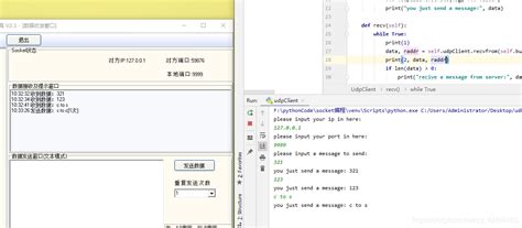 基于udp的socket编程 [winerror 10022]的解决 csdn博客