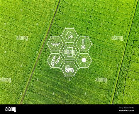 Smart Agriculture With Modern Technology For Sustainable Practices