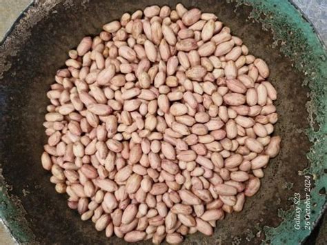 Whole With Skin Mungfali Dana At Best Price In Junagadh Id 2855550395455