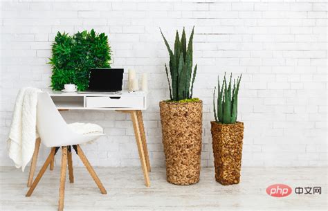 Python 面试高频问题:init 和new的区别 Python教程 Php中文网 Python 面试高频问题:init 和new的区别 Python教程 Php中文网