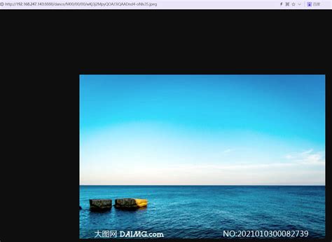 05 springboot 整合 fastdfs csdn博客