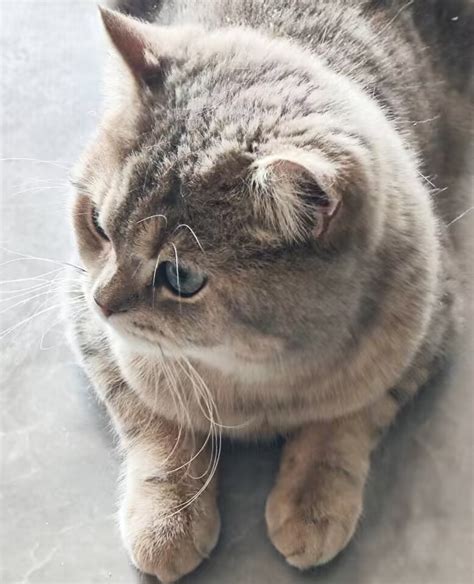 时光之歌