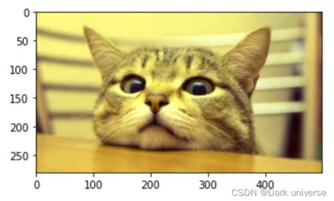 一只猫引出的数据增强[data augmentation] randombrightnesscontrast csdn博客