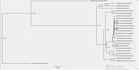 Questions With Answers In FIGTREE Science Topic