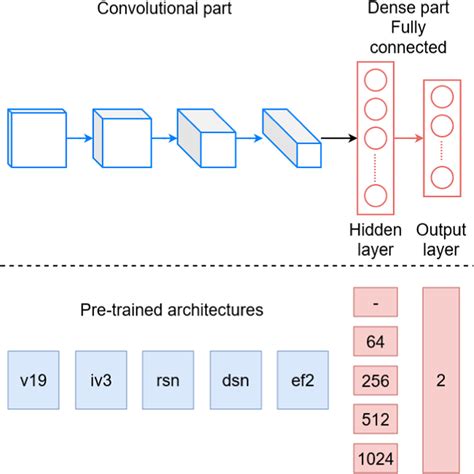 The Cnn Basic Architecture Scheme Top And Architectures Evaluated For Download Scientific