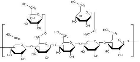 生物化学 多糖结构 蕴瑜课堂