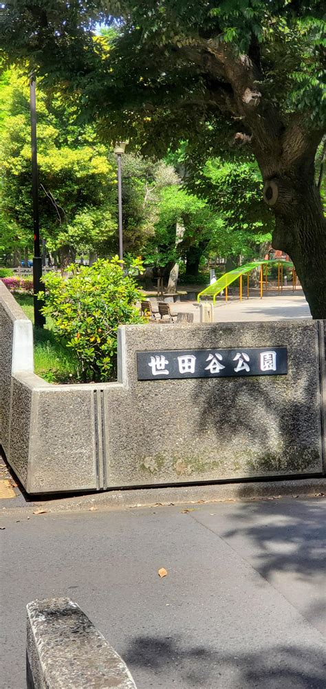 世田谷公園 世田谷区池尻 公園 Yahoo マップ