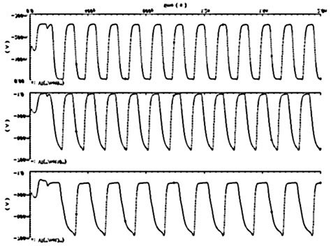 Simulated Waveform Of Ring Oscillators From Top To Bottom Ms Buffer