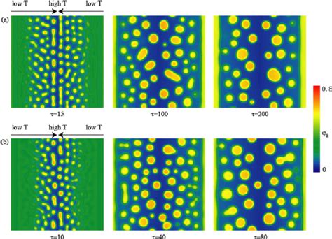 Phase Separation Patterns In Polymer Systems With Lcst Under A