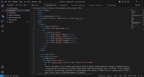shaik sameer on linkedin codsoft webdevelopment internship