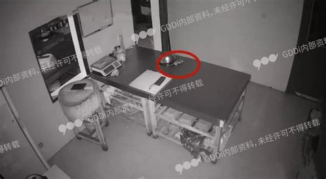 日间老鼠ai检测算法 知乎