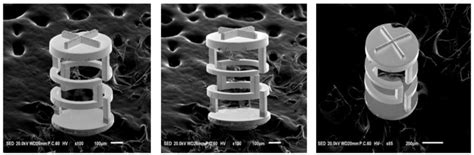 Fabricated 3d Mems Coaxial Socket A Package Test Socket Layout B