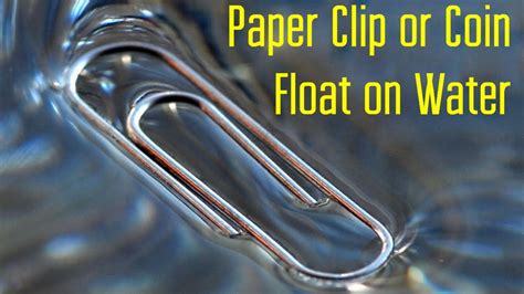 Make A Paper Clip Or Coin Float On Water Cool Bar Trick Youtube