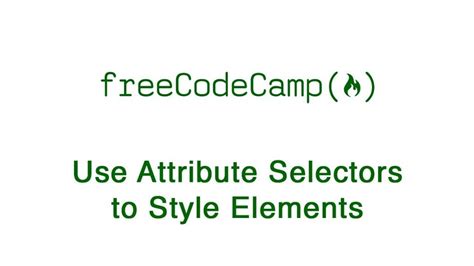 Basic Css Use Attribute Selectors To Style Elements Freecodecamp