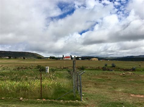 Lwando Scott Queer Consciousness