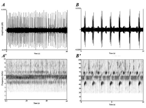 A Waveform And A Spectrogram Of A Seconds Sequence Of The Trill Download Scientific