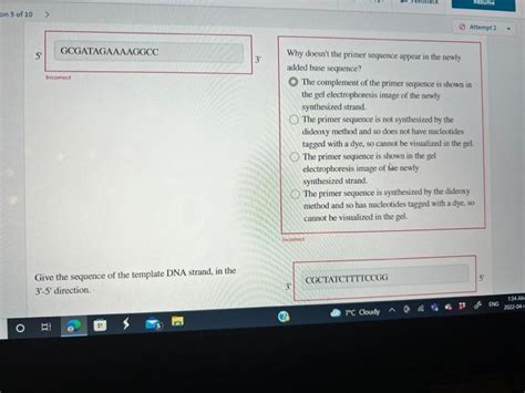 Solved Attempt A Dna Fragment Was Sequenced Using Dideoxy
