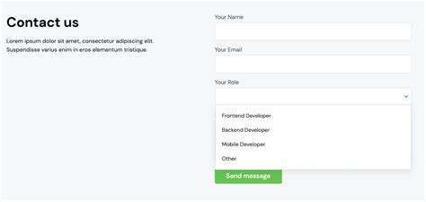 Designing Custom Form Dropdowns In Webflow