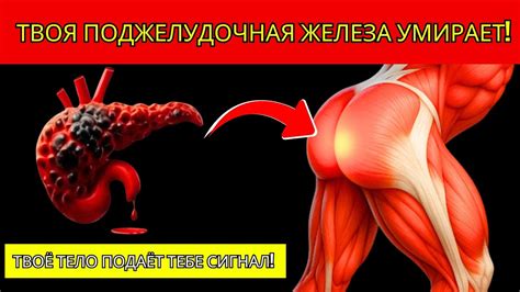 8 Ранних Симптомов Рака Поджелудочной Железы 🚨 Не Игнорируйте Их Youtube