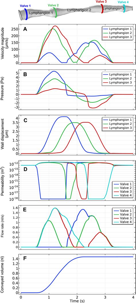 Results From The Baseline Model The Graphs Show The Volume Averaged Download Scientific