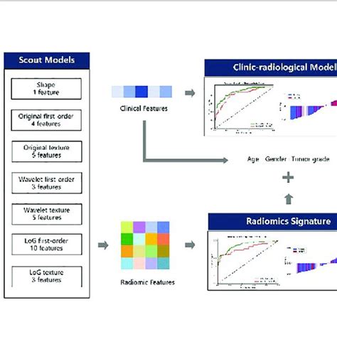 Radiomics Workflow Download Scientific Diagram