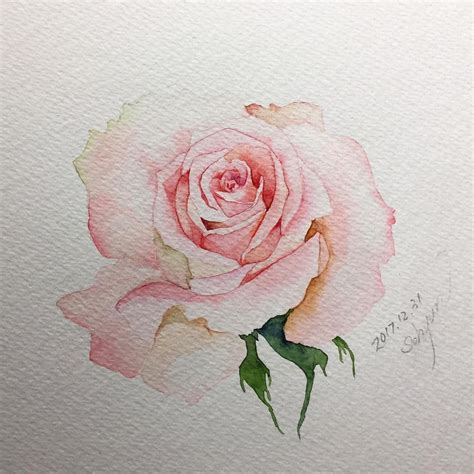 200 Likes 5 Comments Today Is A T Veryhyun7 On Instagram “ 2017년 마지막날 여리여리 신부빛 장미