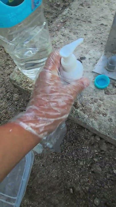 떠돌이 길고양이에게 원래 보금자리를 빼앗기고 두 달 만에 다시 만난 치즈태비 고양이 Youtube