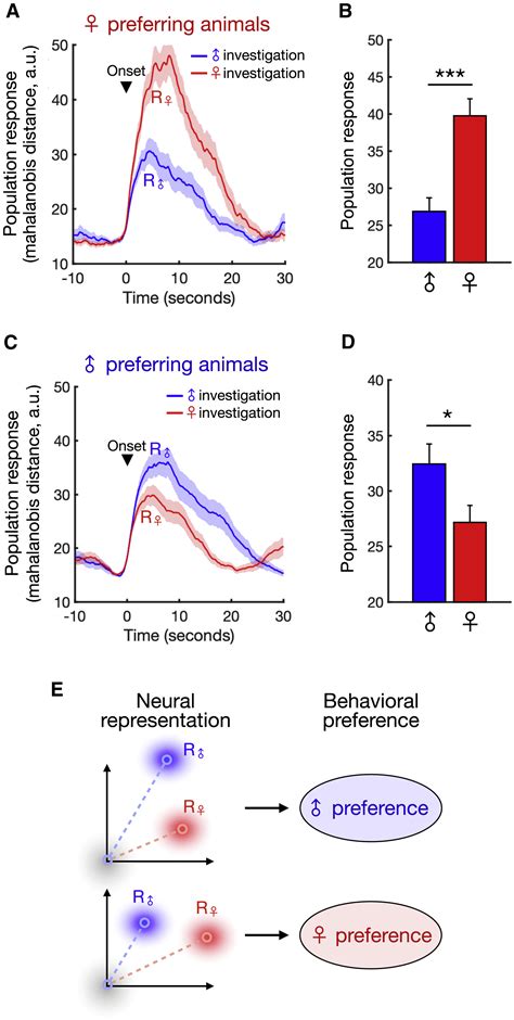 Cortical Representations Of Conspecific Sex Shape Social Behavior Neuron