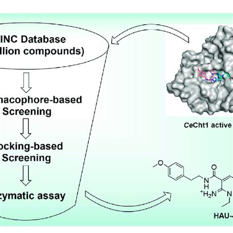 Workflow Of The Virtual Screening Download Scientific Diagram