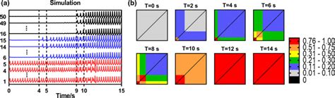A Simulation For 50 Fully Connected Neuronal Populations Consisting Of Download Scientific