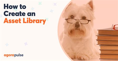 Create A Social Media Asset Library And Make Life Easier For You