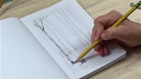 Рисуем березовый лес в зимнем лесу простым карандашом Youtube