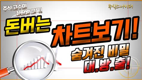 차트를 보는 방법 숨겨진 비밀 꿀팁 대방출 Youtube