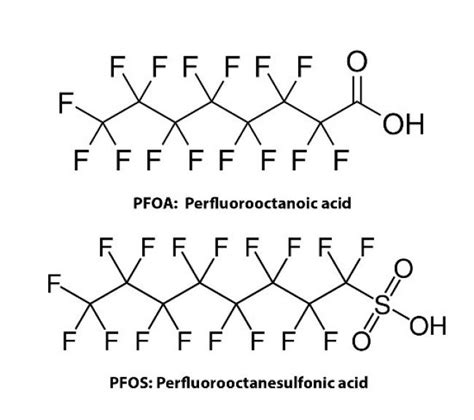 What Are Pfas College Of Veterinary Medicine At Msu
