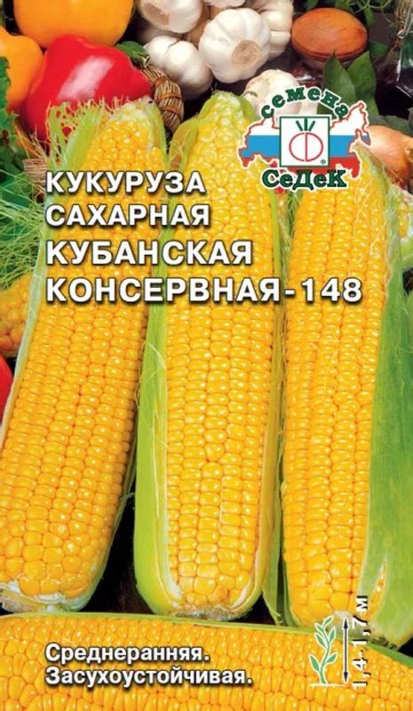 Семена Кукуруза сахарная Кубанская Консервная 148: описание сорта, фото ...