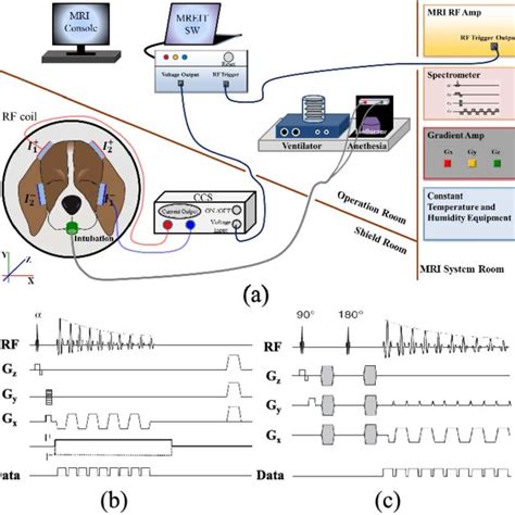 A Experimental Set Up B Coherent Steady State Multi Gradient Echo Download Scientific