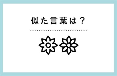 月とすっぽんの意味は対義語類義語例文英語表現をまとめてご紹介 ワーグリWorld Greeting