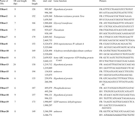 Characteristics Putative Gene Function And Primers Used For The Trs Download Scientific