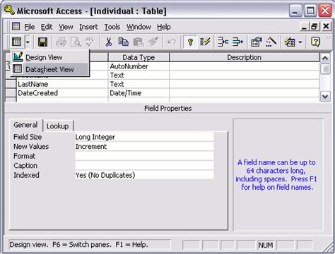 Microsoft Access Create A Table