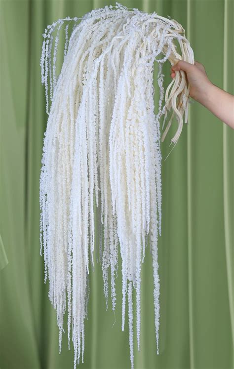 Glicrili 10pcs Natural Dried Wisteria Hanging Flowers 23