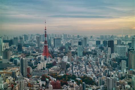 2022六本木HILLS购物 六本木新城的森大厦是观赏东 去哪儿攻略