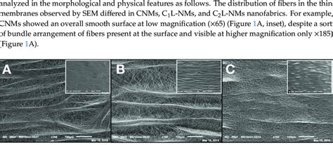 Sem Micrographs Of The Polycaprolactone Polyhydroxybutyrate Pcl Phb Download Scientific