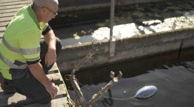 New Technology To Test Water Quality Fish Focus