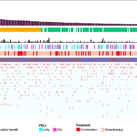 Summary Of Mutational And Clinical Information Of Non Squamous Nsclc