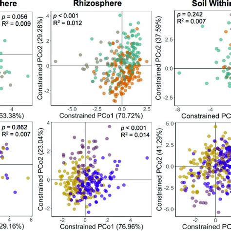 Bacterial Community Structure According To Different Exudation Levels Download Scientific