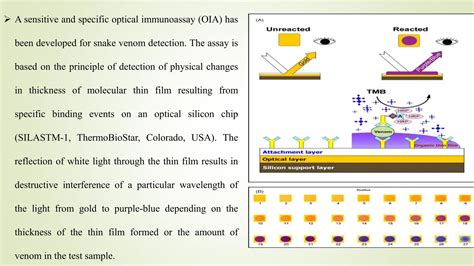 Optical Immunoassay Pptx