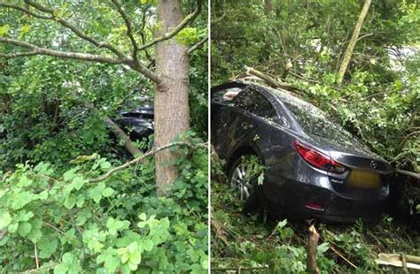 Car Stuck In A Tree