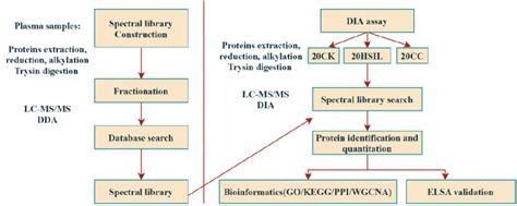 Dia Experimental And Analytic Flow Download Scientific Diagram